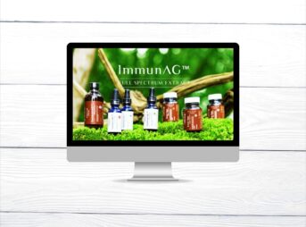 WEBサイト制作所 / YomoWebb.Design